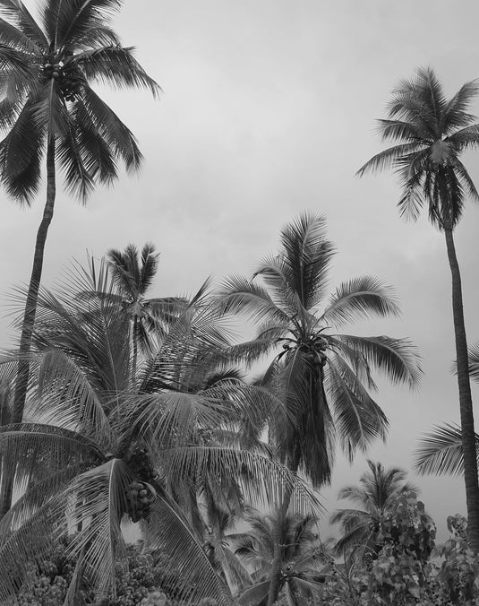 The WUESTE Journal | Wanderlust Dreams for Adventurous Souls – Page 5